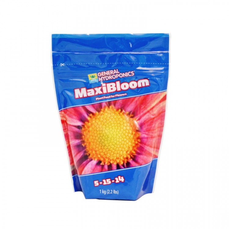 MaxiBloom цены, купить MaxiBloom