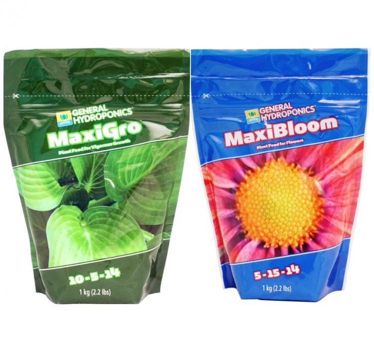 Maxi Series Gro+Bloom цена, купить Maxi Series Gro+Bloom